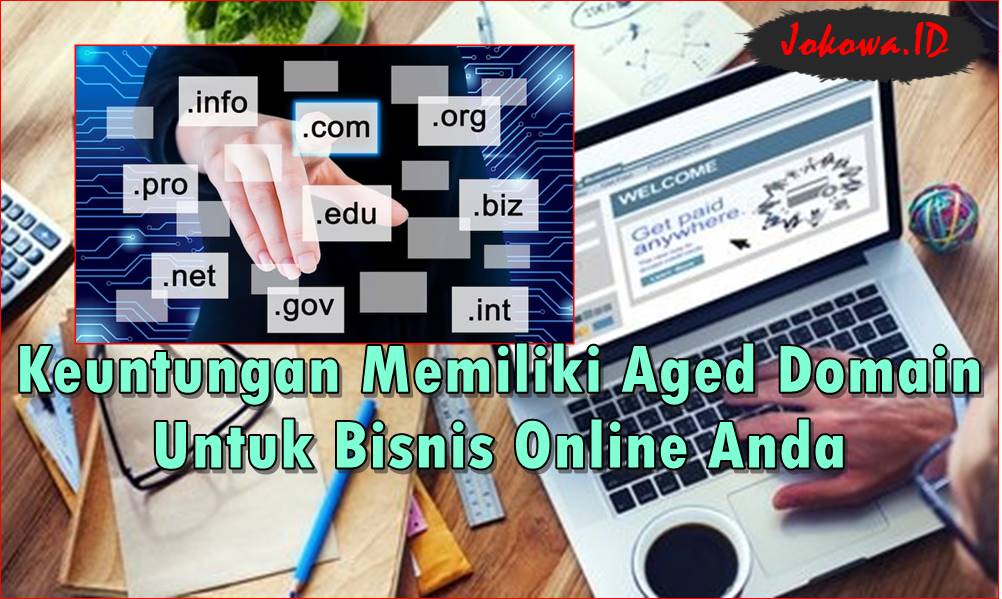 10 Keuntungan Memiliki Aged Domain Untuk Bisnis Online Anda ...