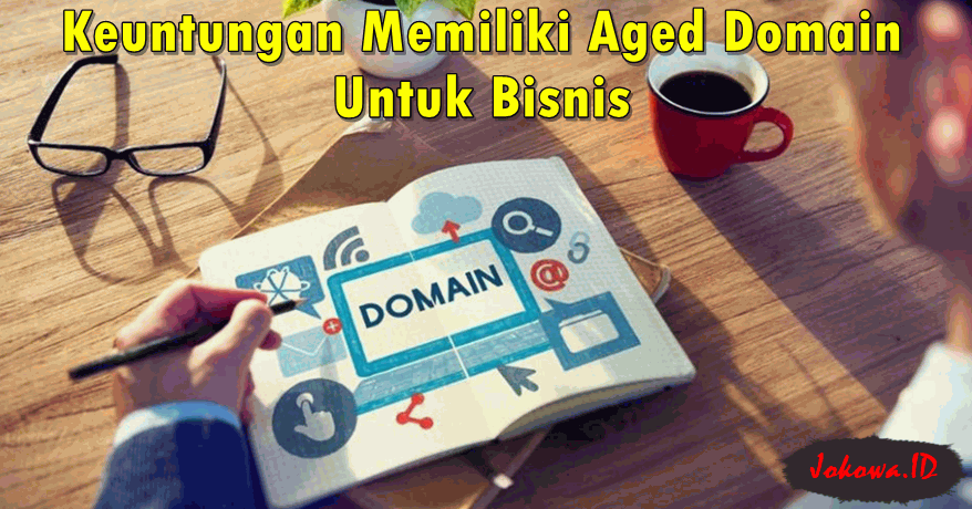 10 Keuntungan Memiliki Aged Domain Untuk Bisnis Online Anda ...
